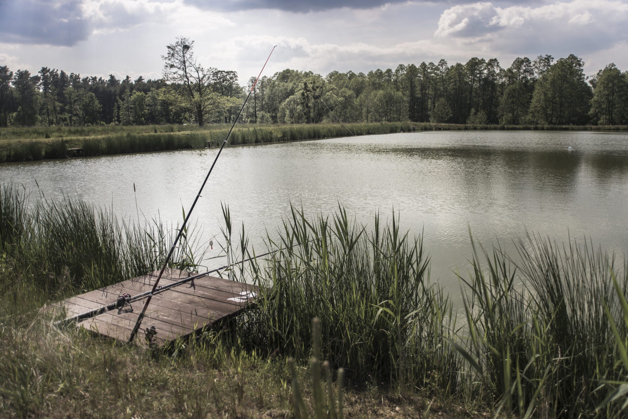 Dni Karpia 2018 - poznaj, posmakuj, baw się doskonale! - wroclawianin.info